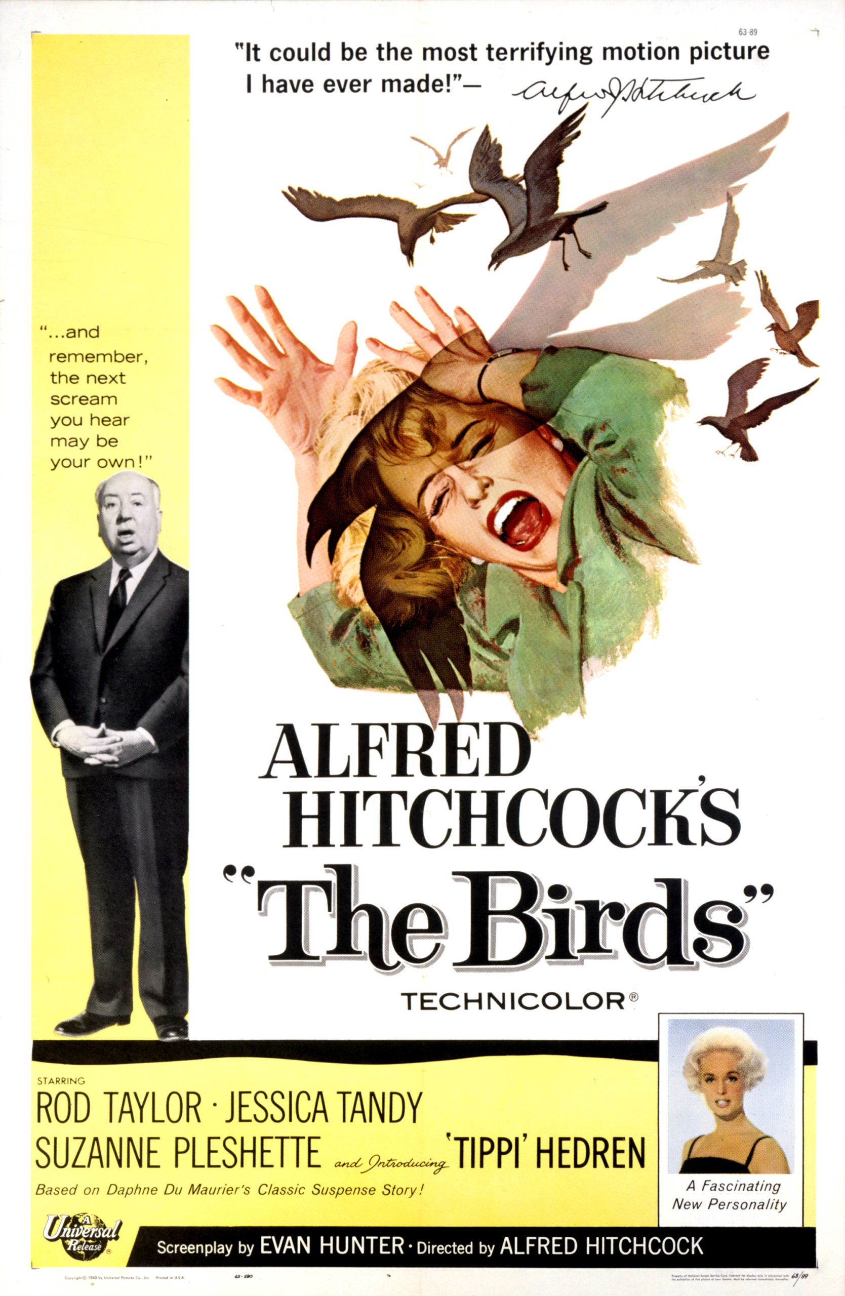 Alfred Hitchcock’s ‘The Birds’ Explained: Nature’s Revenge – Creepy Catalog