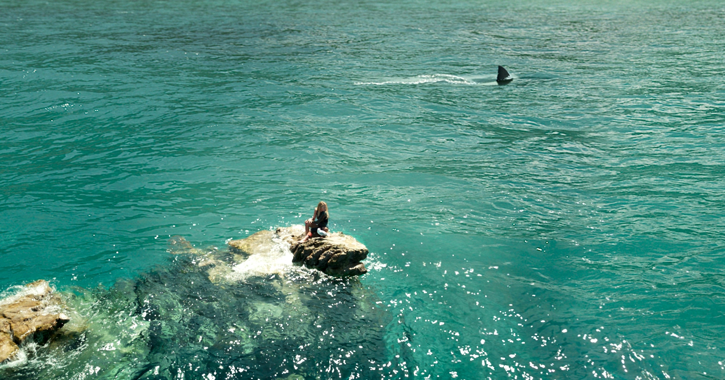 38 Shark Attack Movies That Will Keep You on Dry Land – Creepy Catalog