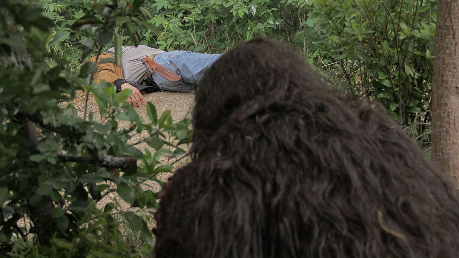 49+ Bigfoot Movies: Sasquatch in Cinema – Creepy Catalog