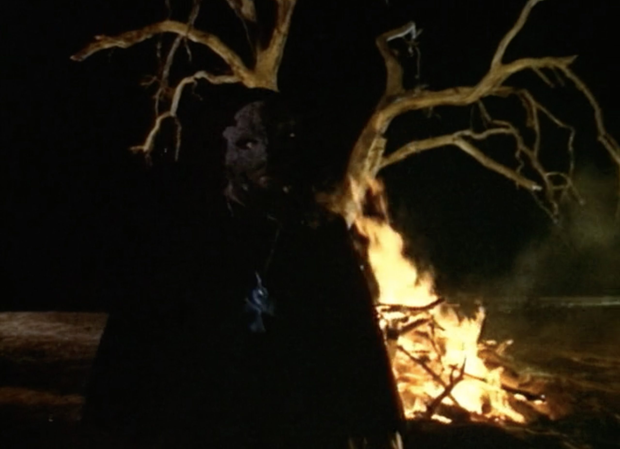 50+ Best Movies About Cults – Creepy Catalog