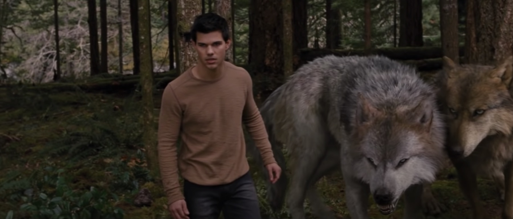 30+ Best Werewolf Movies Ever Made – Creepy Catalog