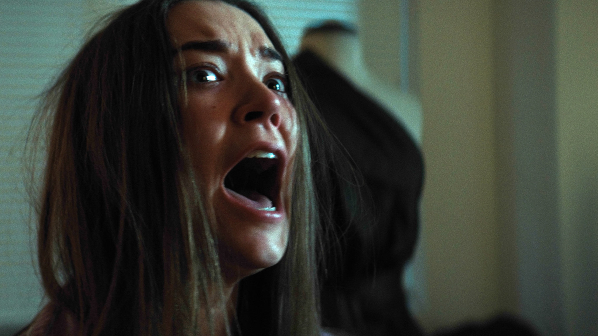‘The Grudge’ Explained: The Ghost That Never Forgives – Creepy Catalog