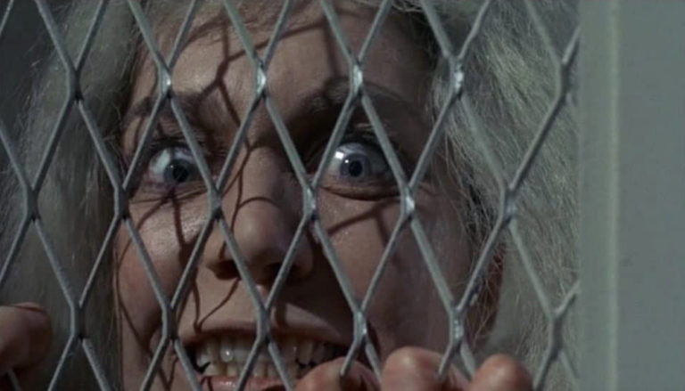 70s Horror Movies: 100+ Scary Films from the 1970s – Creepy Catalog