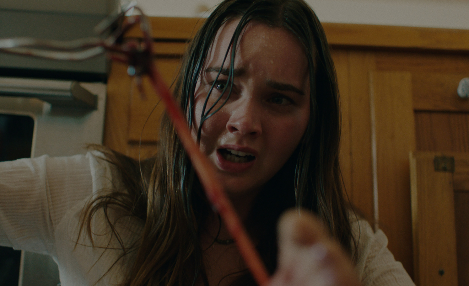 The Best Beach Horror Movies: Sand, Surf, and Scares – Creepy Catalog