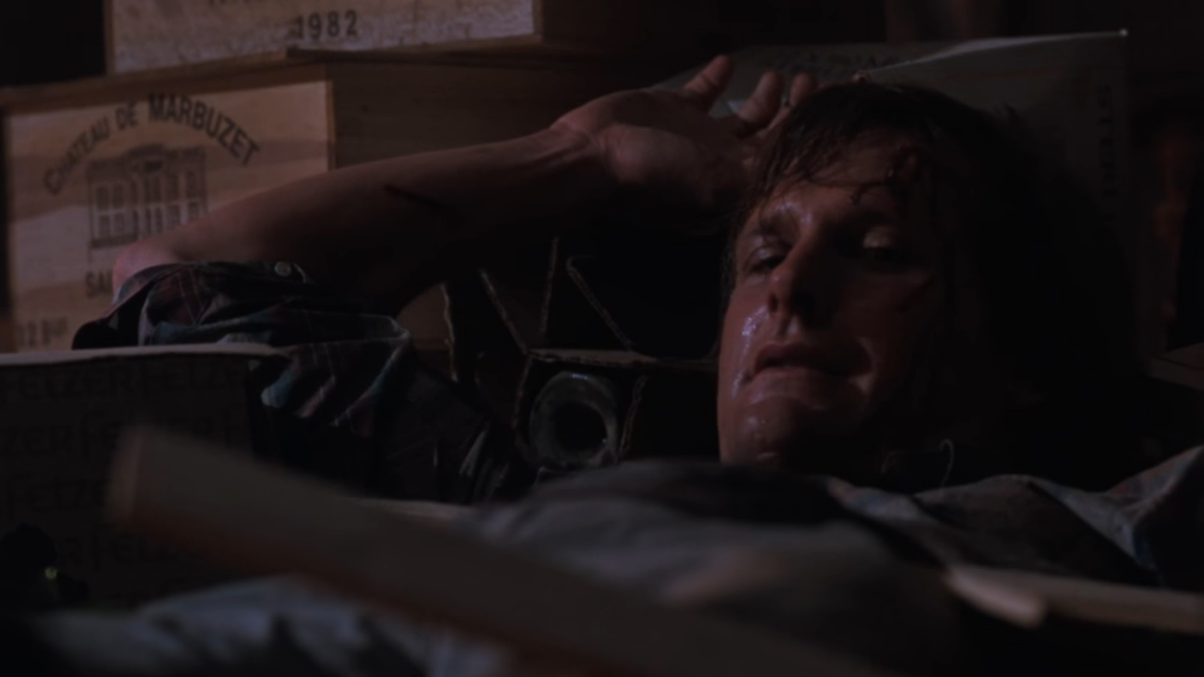‘Arachnophobia’ (1990): 31 Spider-Filled Facts and Trivia About The ...