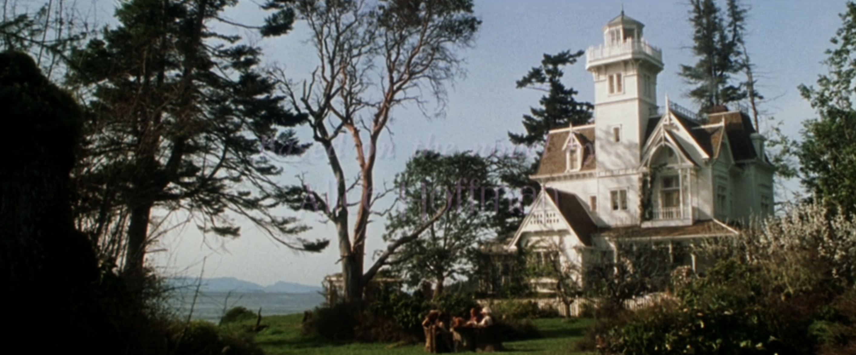 32 Witchy Facts About ‘Practical Magic’ (1998) – Creepy Catalog