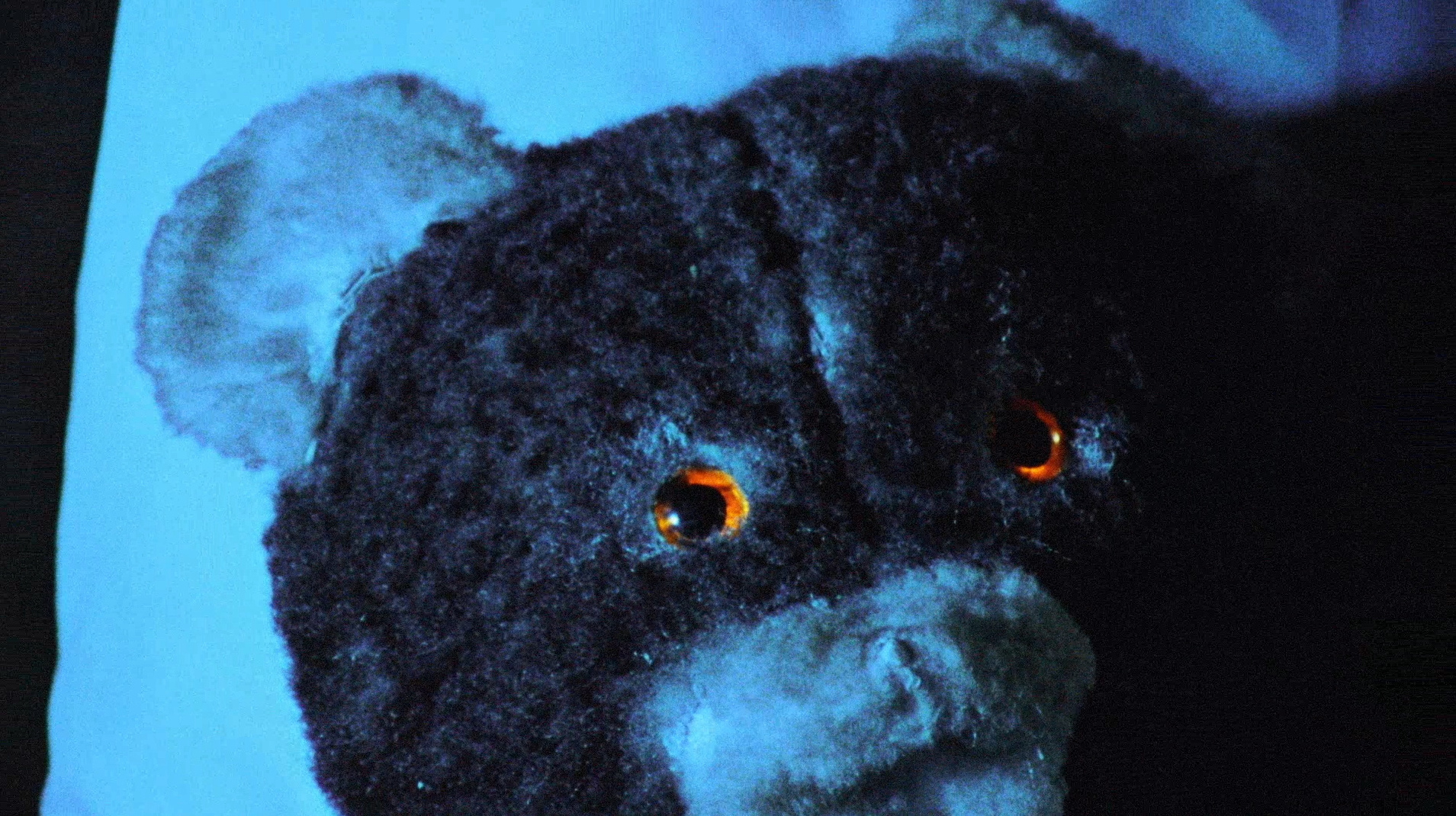 9+ Horror Movies With Cute/Tiny Monsters – Creepy Catalog