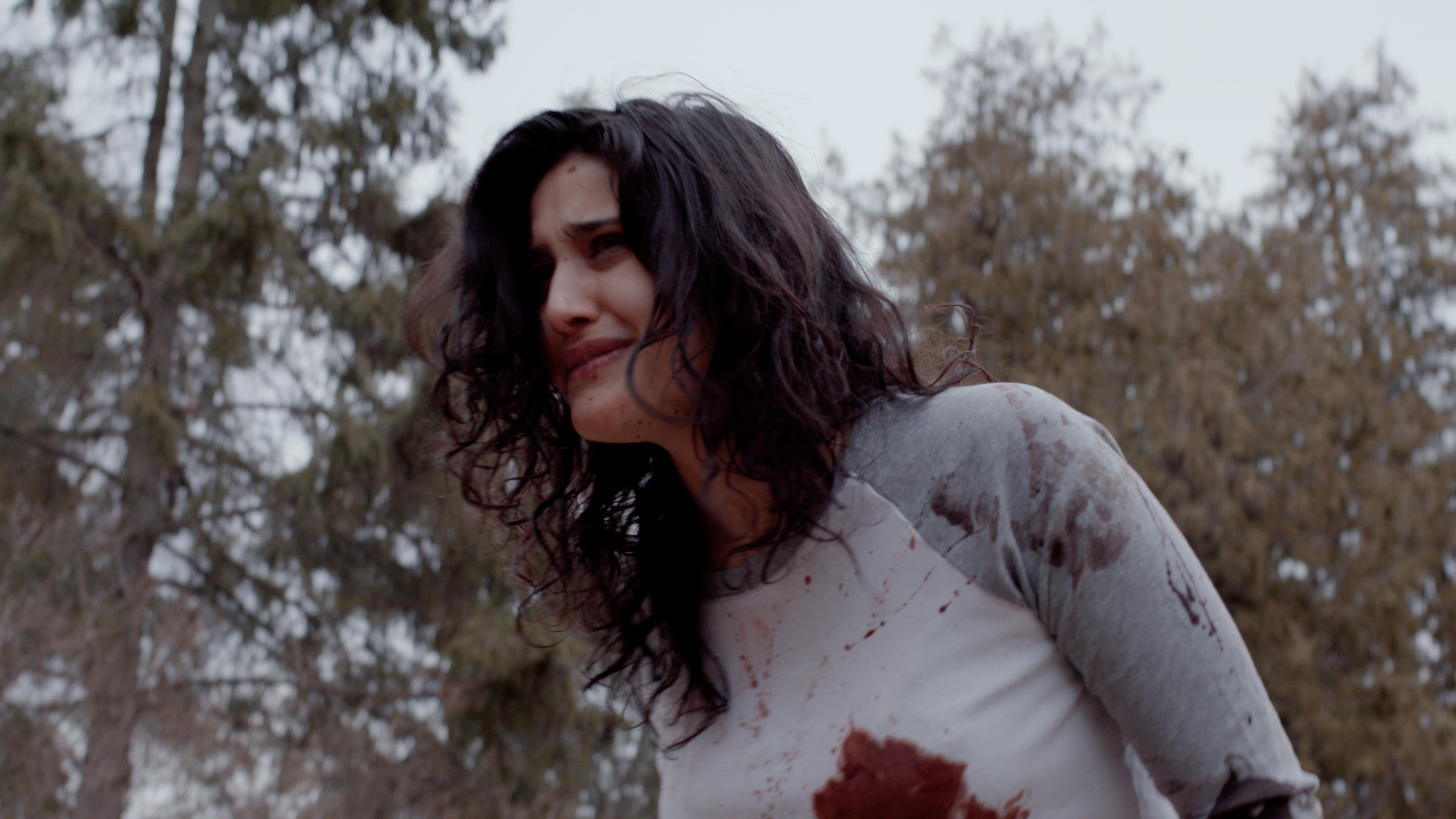 15 Lesser-Known ‘Cabin in the Woods’ Horror Movies – Creepy Catalog
