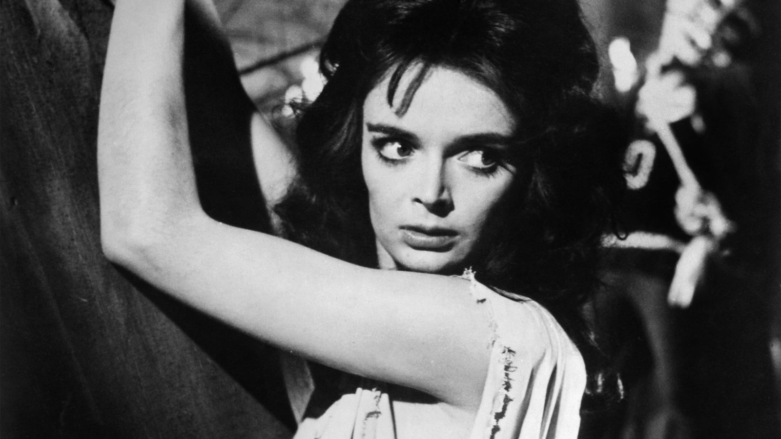20 Iconic Scream Queens in Horror Movie History – Creepy Catalog