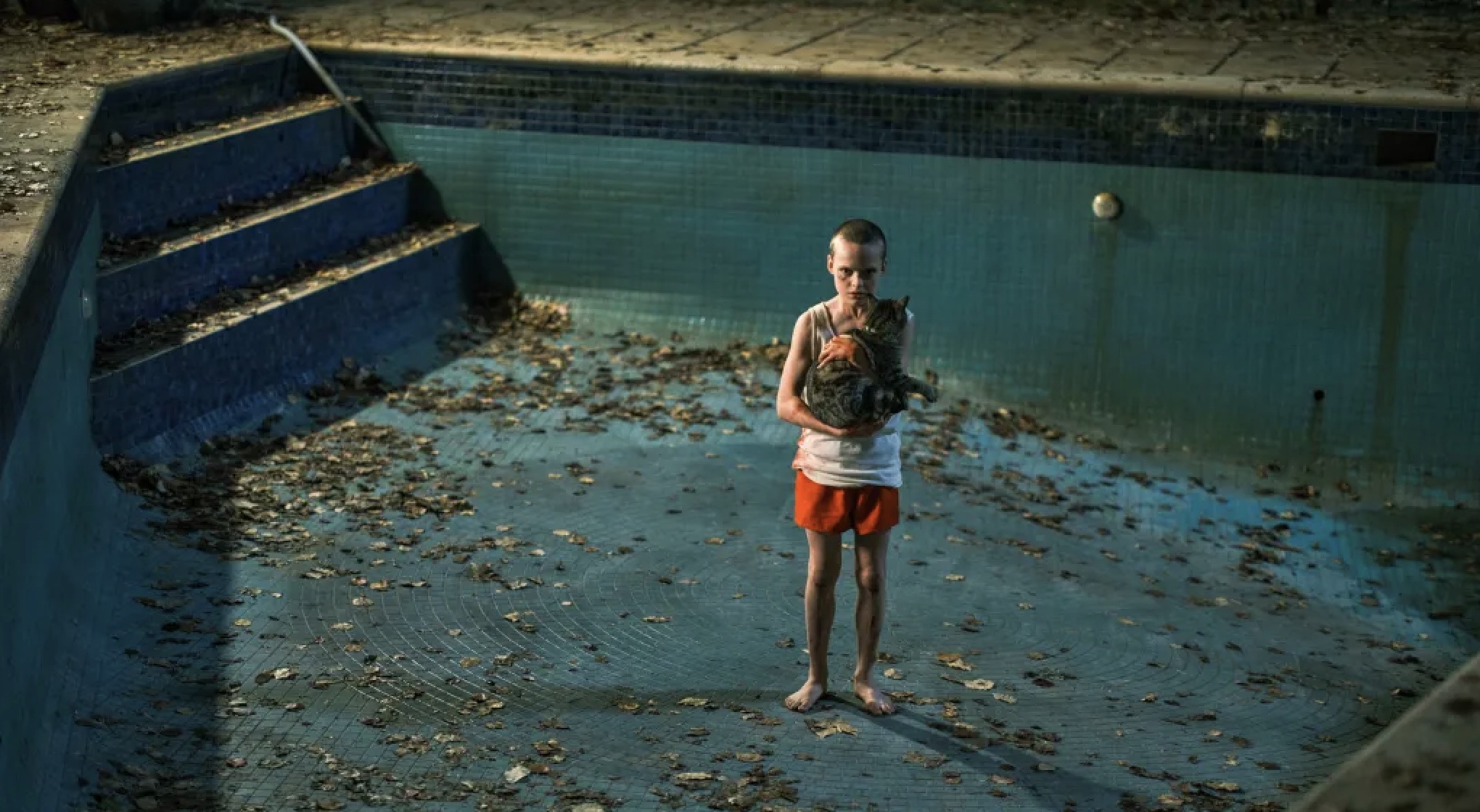 8+ Swimming Pool Horror Films – Creepy Catalog