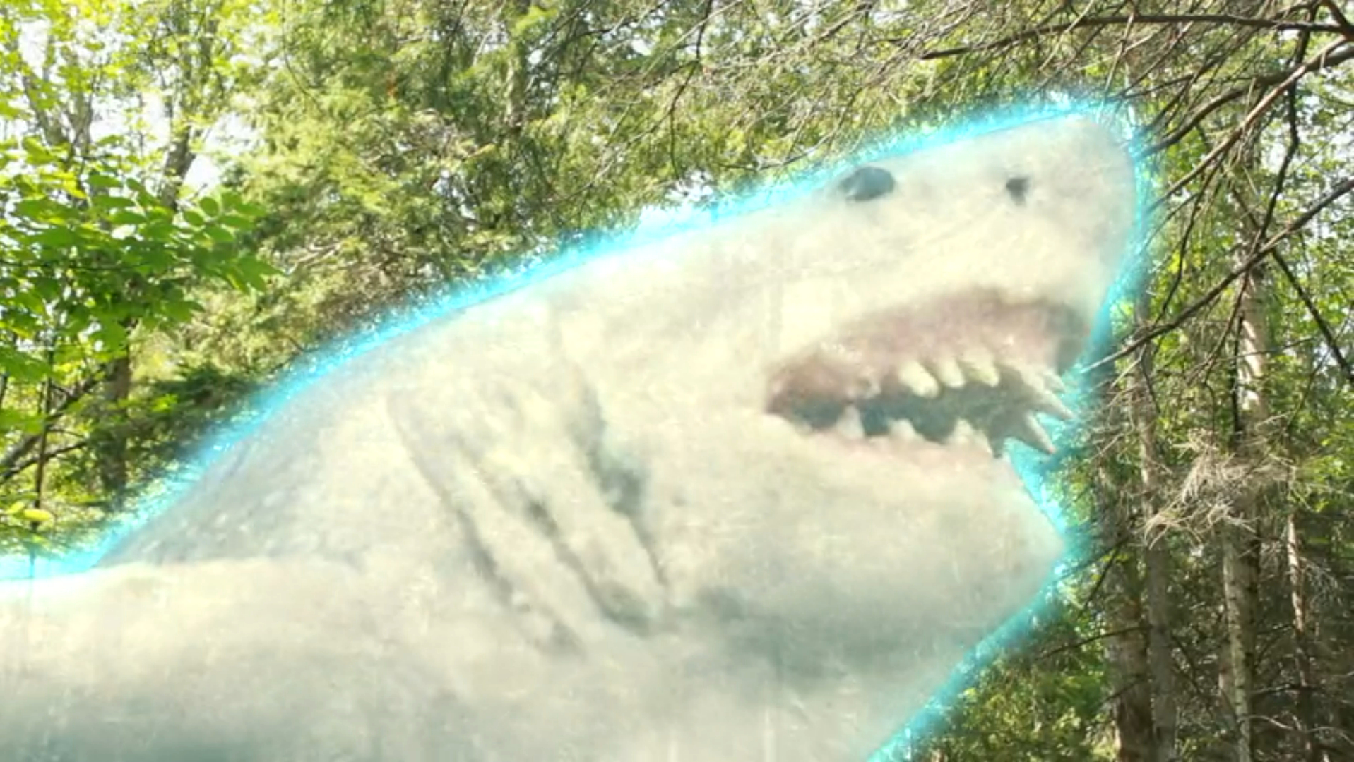 One of the Most Horrifying Survival Movies of All Time Is Now Streaming ...