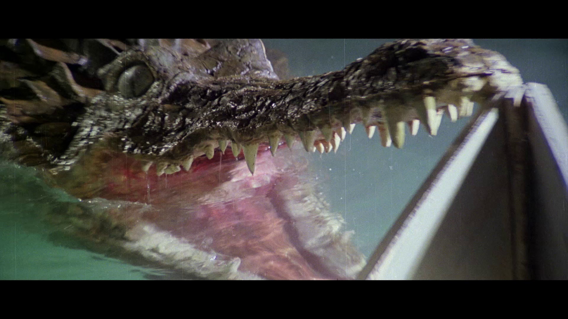 37+ Horror Films Featuring Alligators and Crocodiles – Creepy Catalog