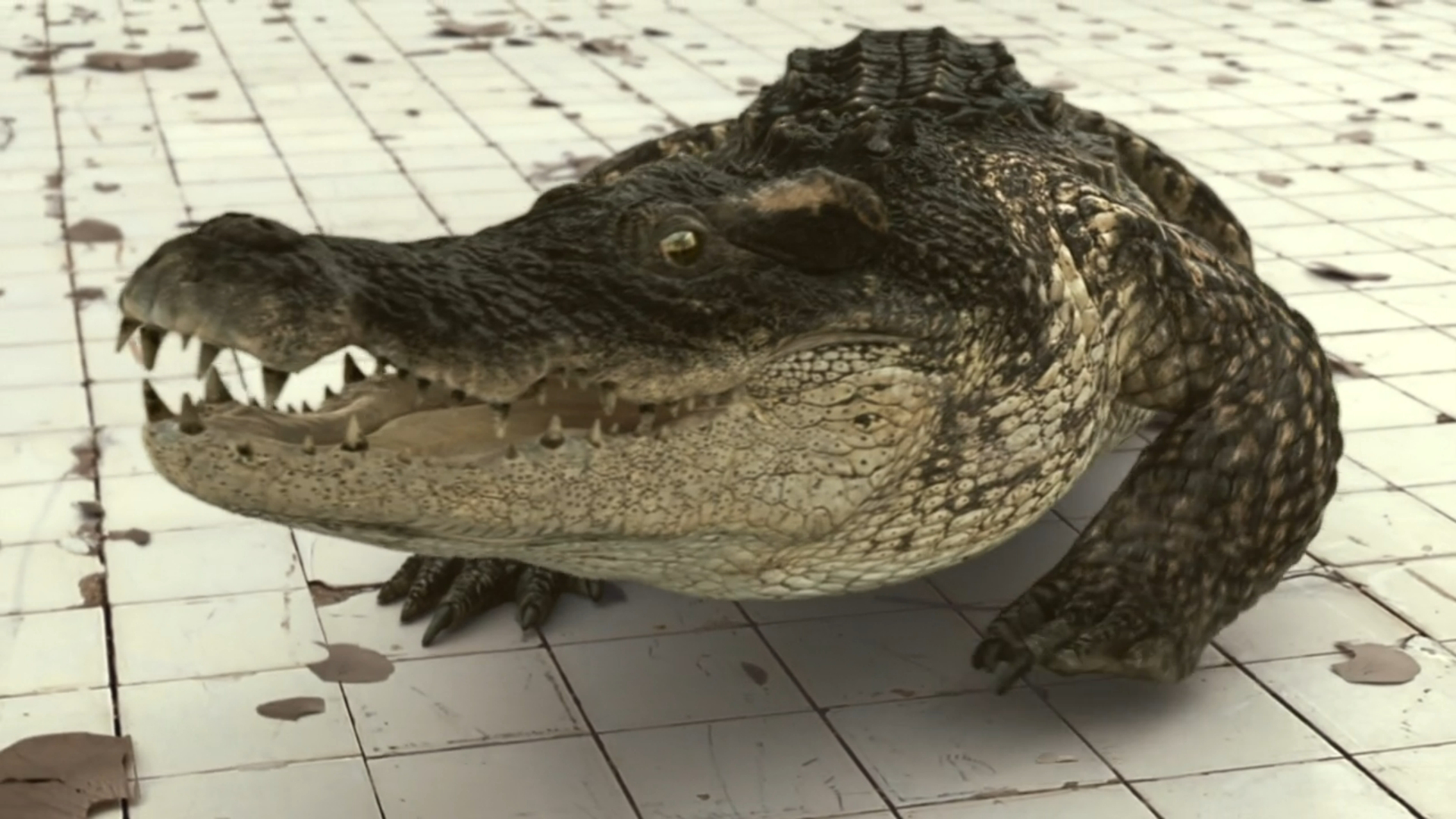37+ Horror Films Featuring Alligators and Crocodiles – Creepy Catalog