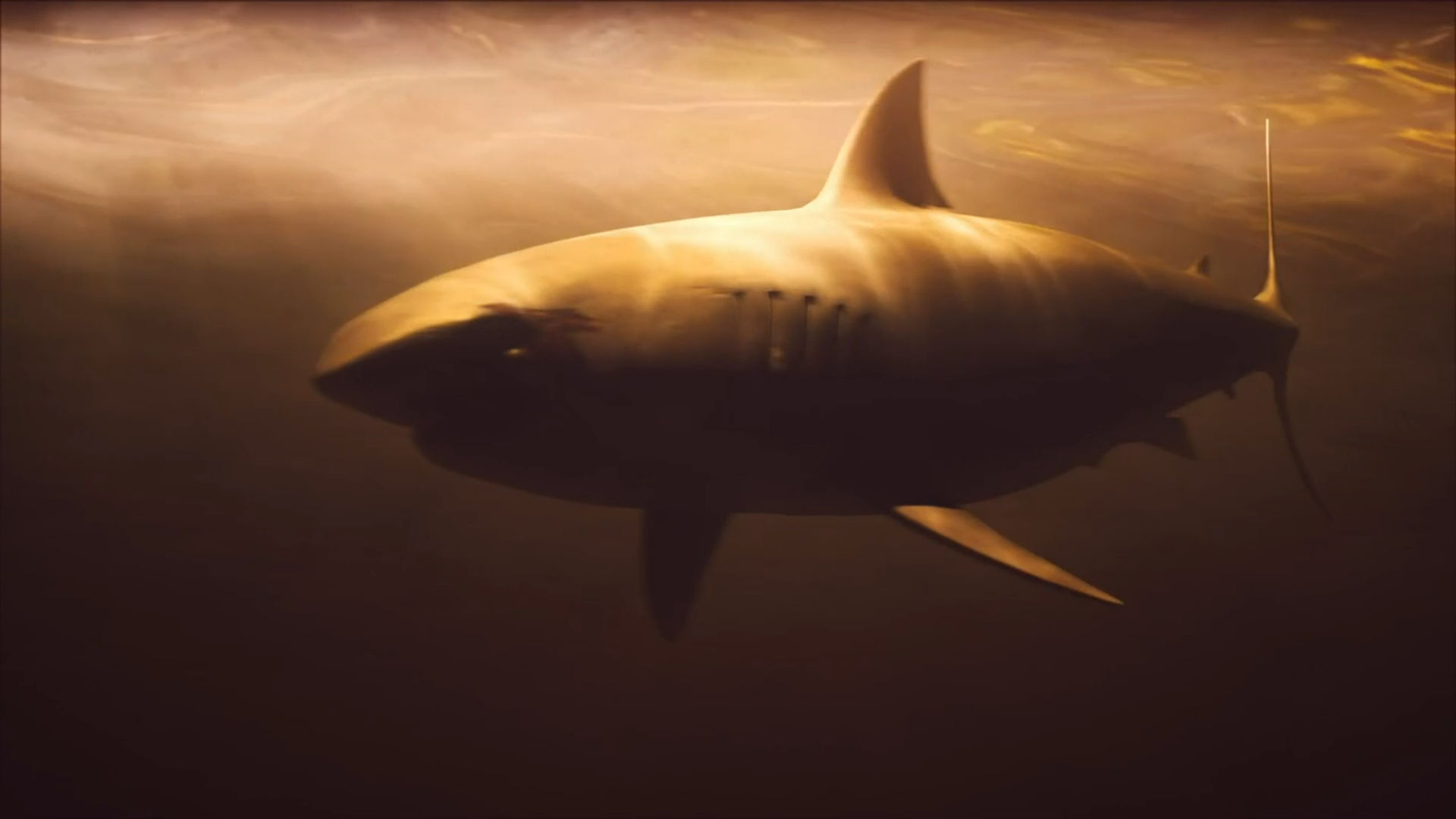More of the Dumbest Shark Attack Movies to Stream for Free on Tubi ...