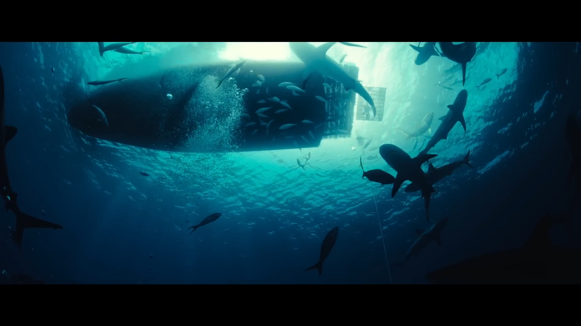‘Dangerous Animals’ Delivers Superb Genre Thrills: A Review – Creepy ...