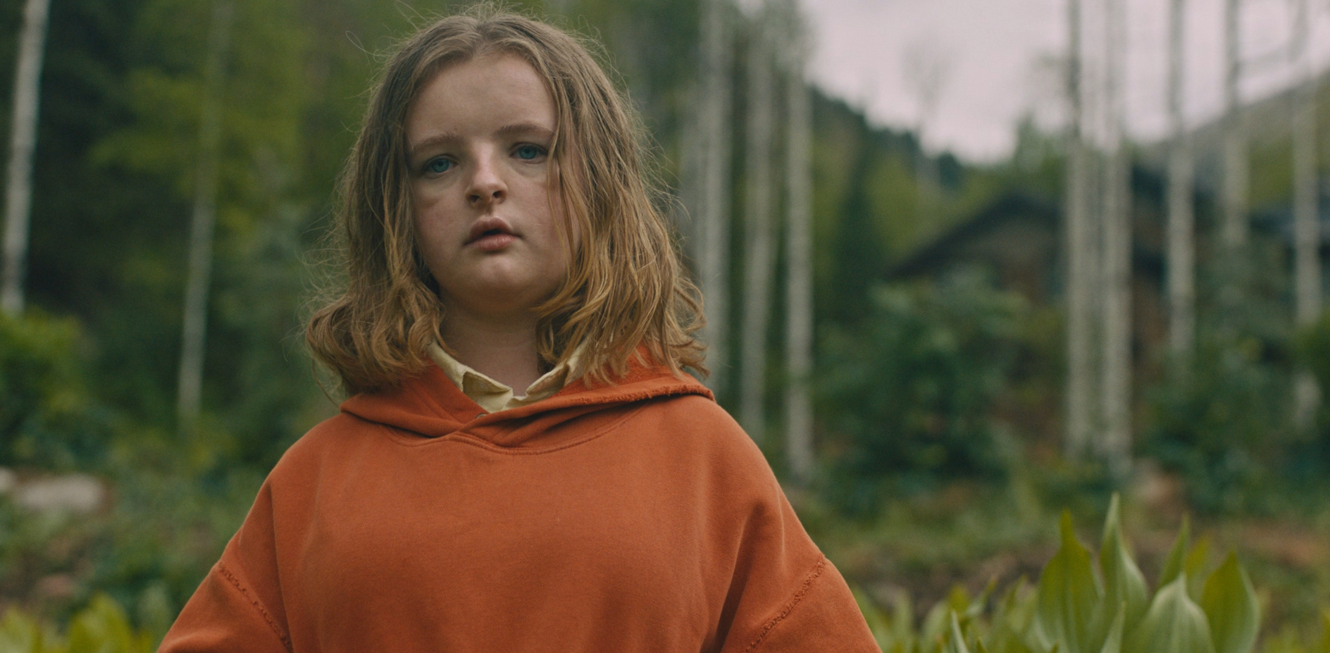 Creeptober Night 30: Hereditary (2018) – Creepy Catalog