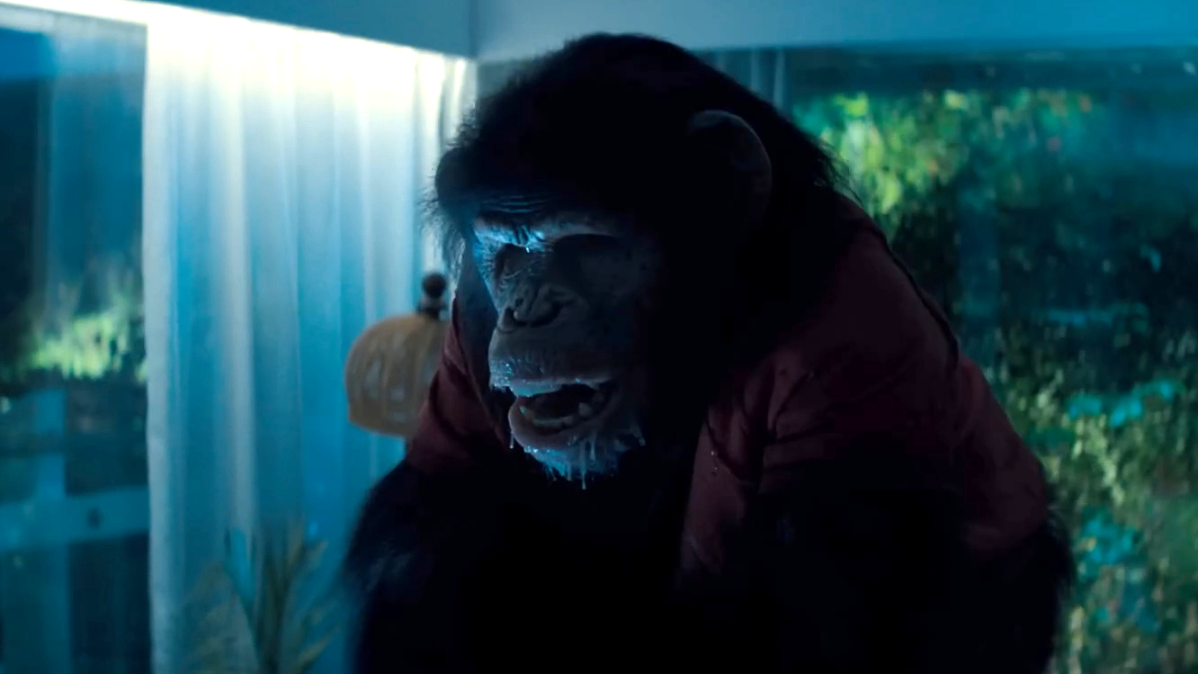 ‘Primate’ Might Lack in Story, but It Makes Up For That With a Superbly ...